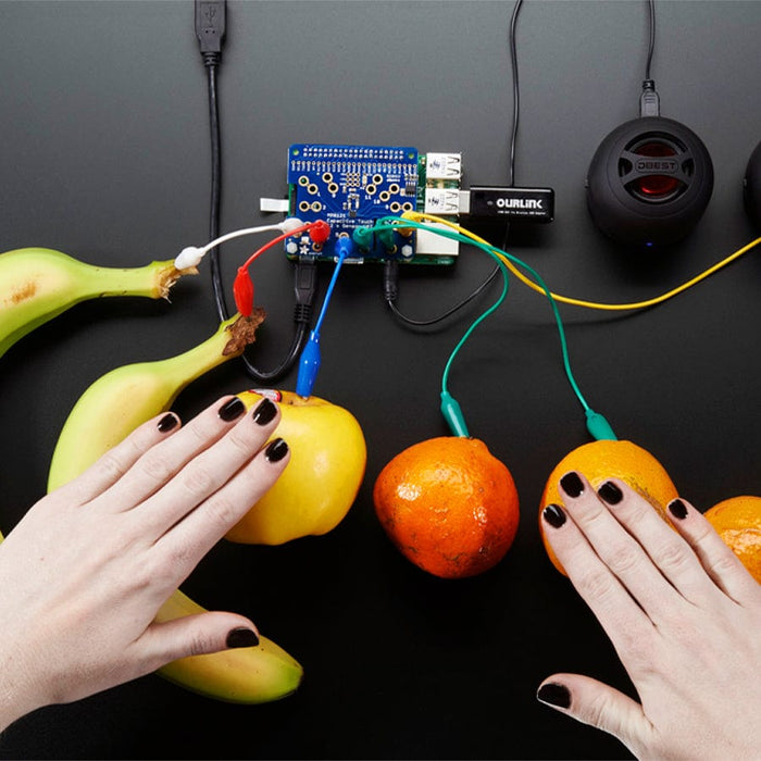 Adafruit Capacitive Touch HAT for Raspberry Pi - Mini Kit - MPR121 ...