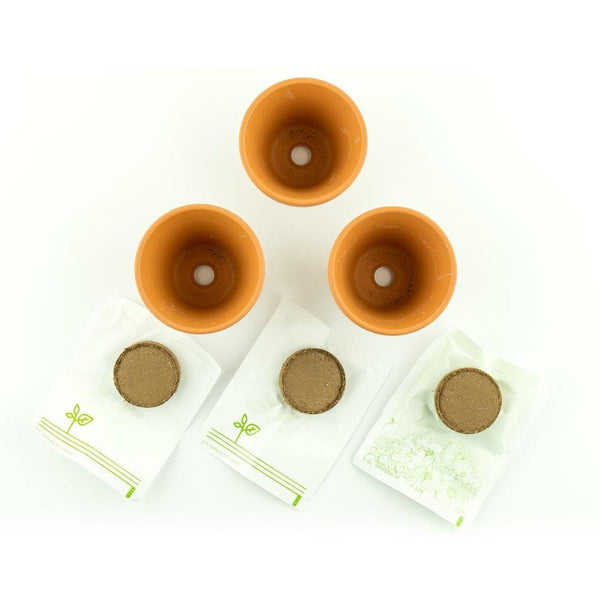 Grow Kit [Discontinued] - The Pi Hut